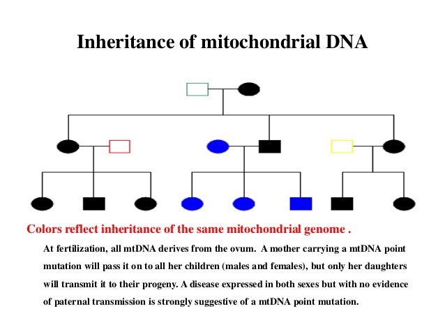 Mitochondrial diseases