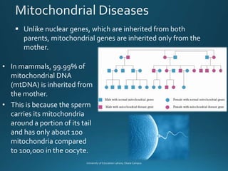 Mitochondrial Diseases | PPTX