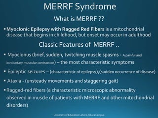 Mitochondrial Diseases | PPTX