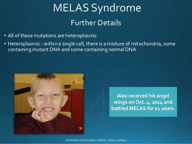 Mitochondrial Diseases