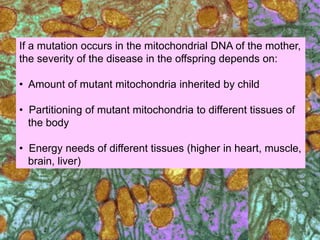 Mitochondrial DNA - and diseases. .pptx