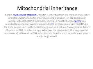 Mitochondrial dna | PPTX