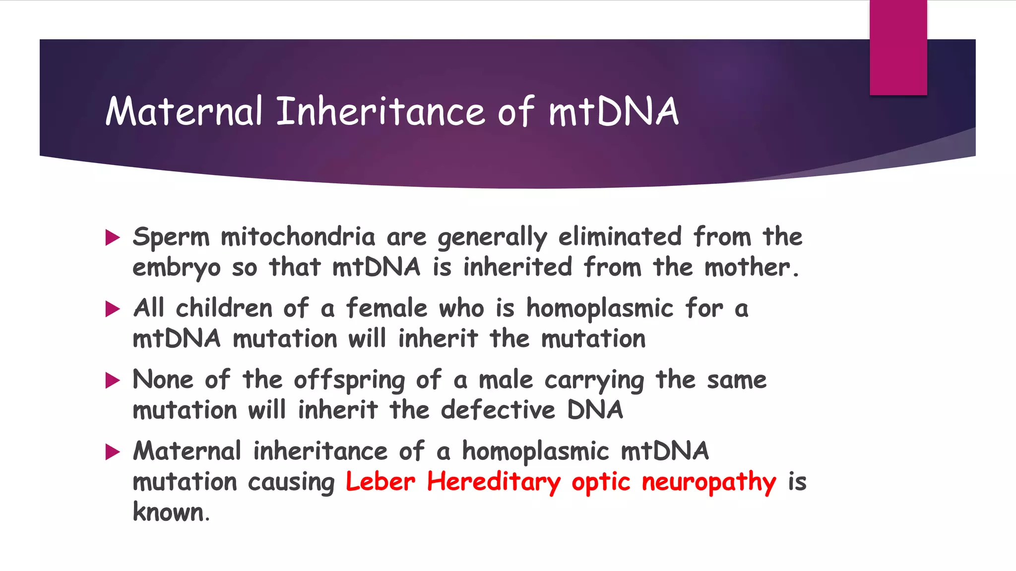 Mitochondrial dna | PPTX