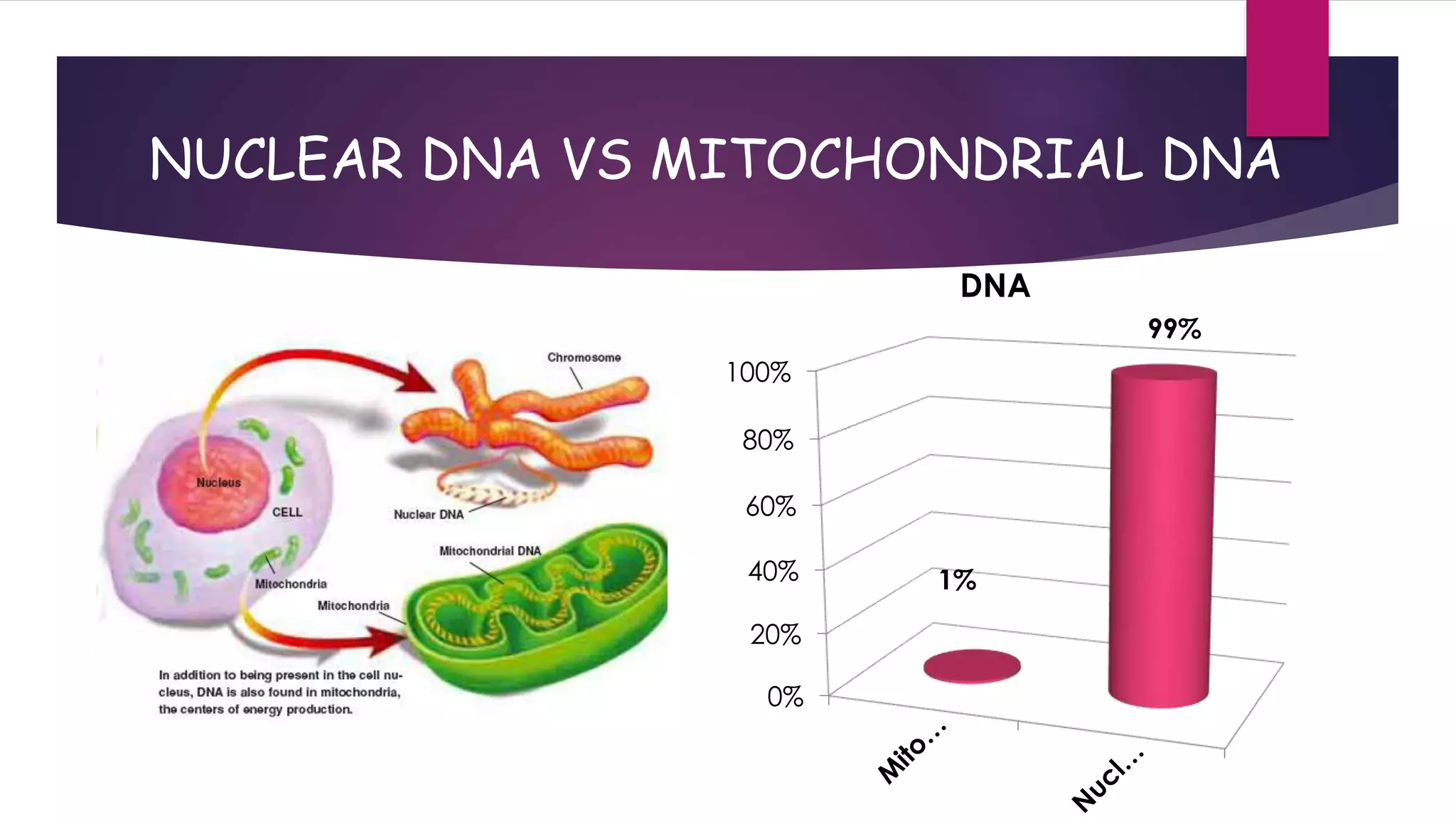 Mitochondrial dna | PPTX