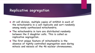 Mitochondrial dna | PPTX