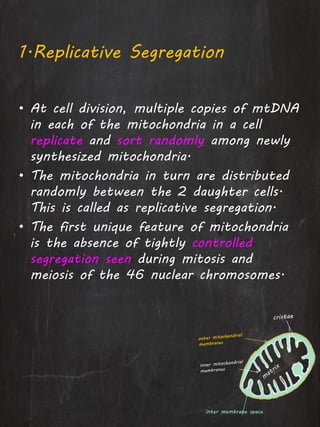 Mitochondrial dna | PPTX