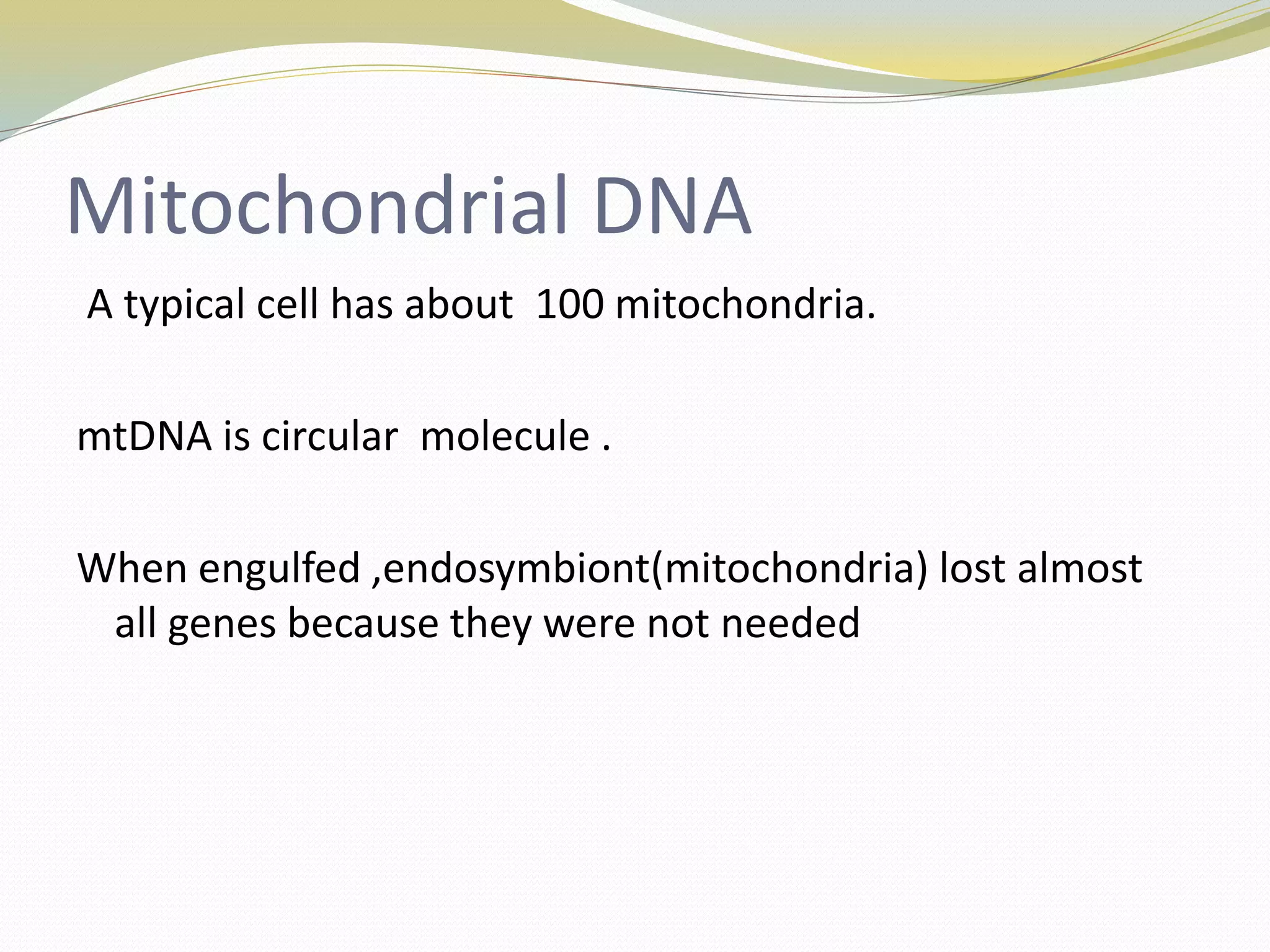 Mitochondrial dna | PPTX
