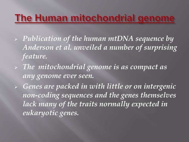 Mitochondrial dna | PPT