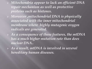 Mitochondrial dna | PPTX