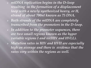 Mitochondrial dna | PPTX | Genealogy and Ancestry | Hobbies & Interests