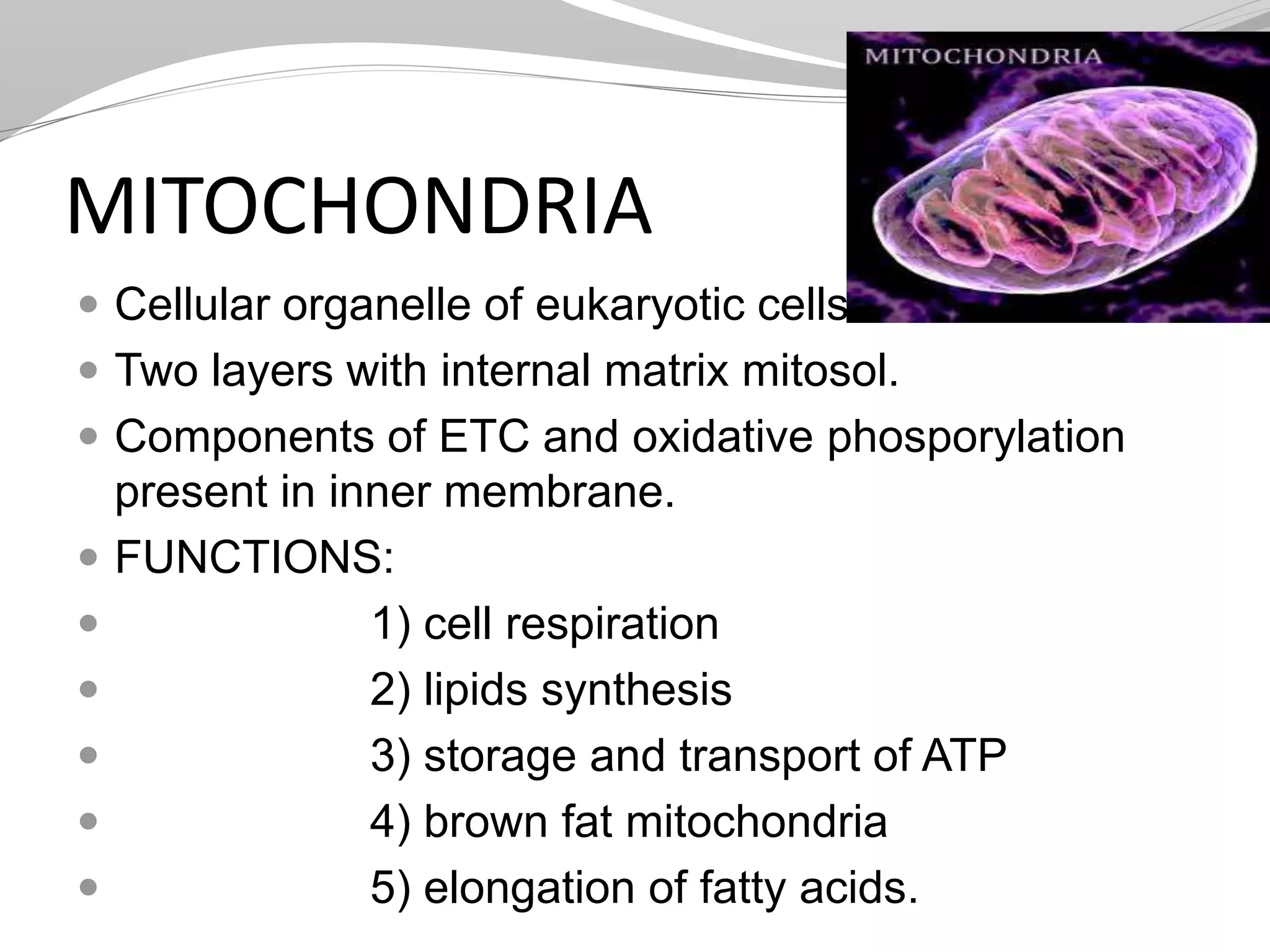 Mitochondrial dna and dysfunctions | PPTX
