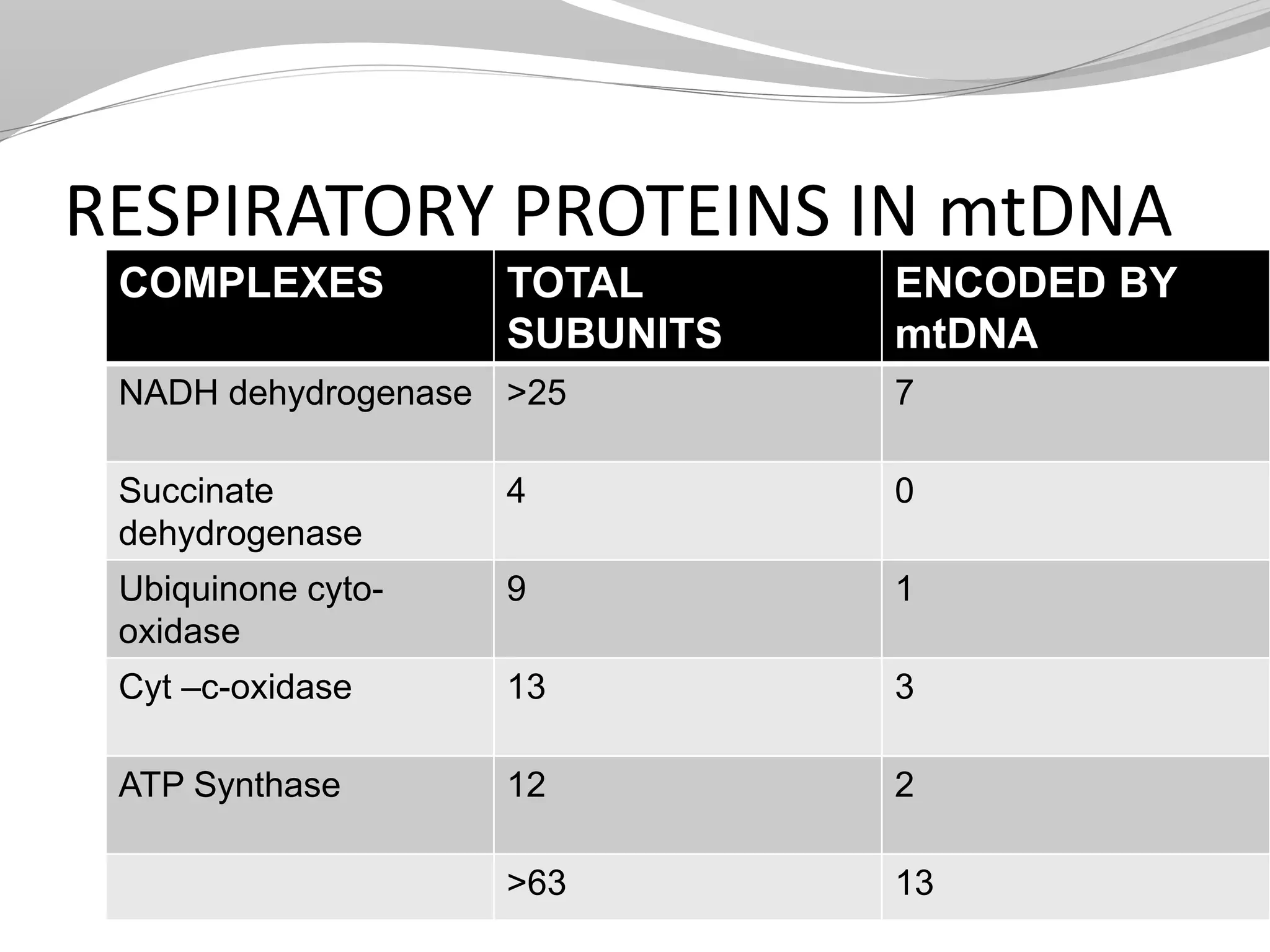 Mitochondrial Dna And Dysfunctions Ppt