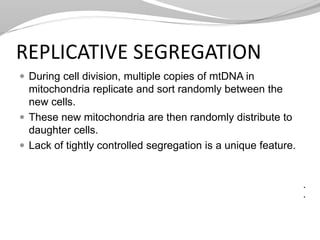 Mitochondrial dna and dysfunctions | PPTX