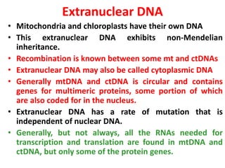 Mitochondrial_DNA Final.ppt