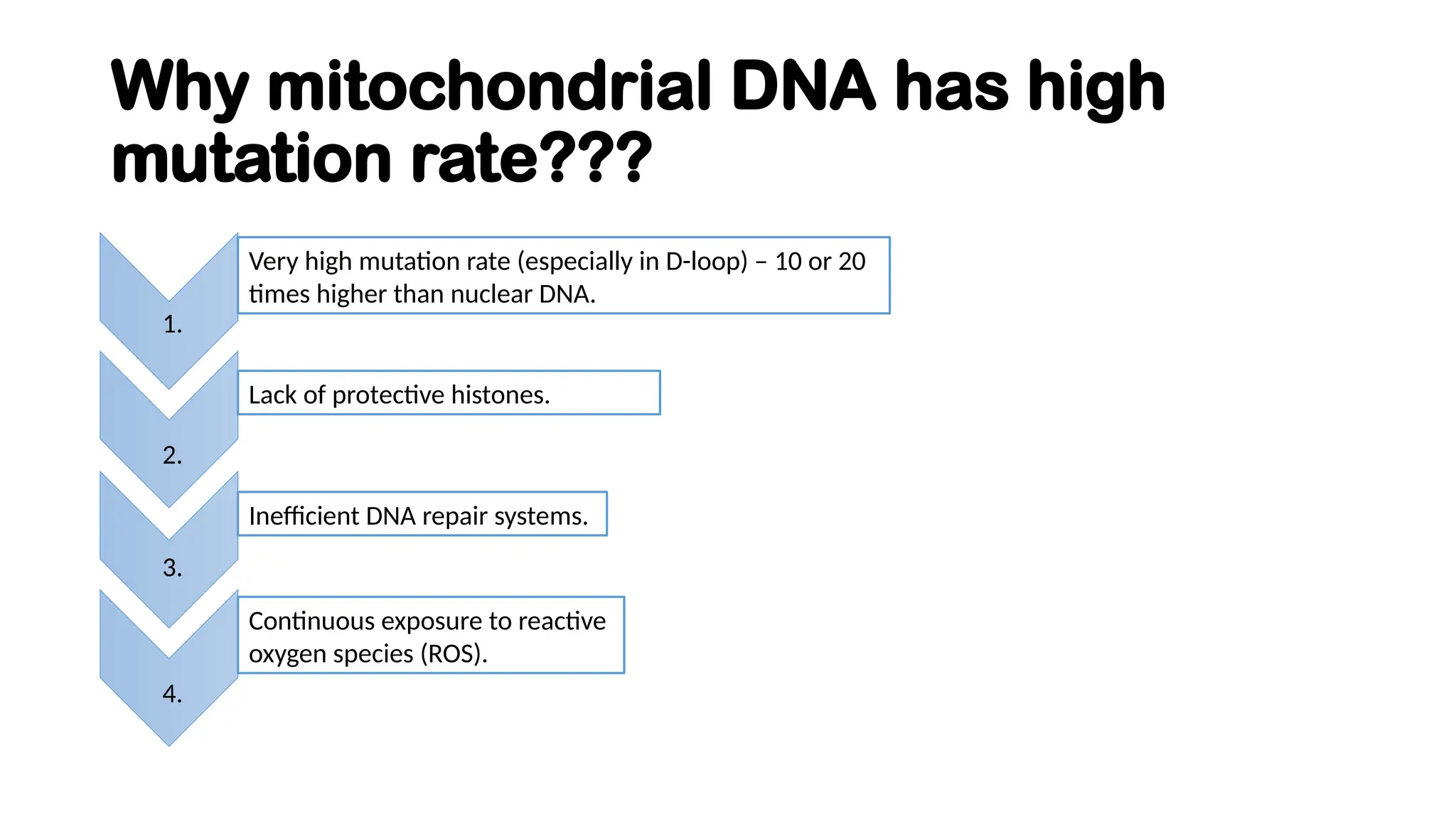 Mitochondrial DNA Inheritance PPT12.pptx