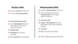 Mitochondrial DNA Inheritance PPT12.pptx