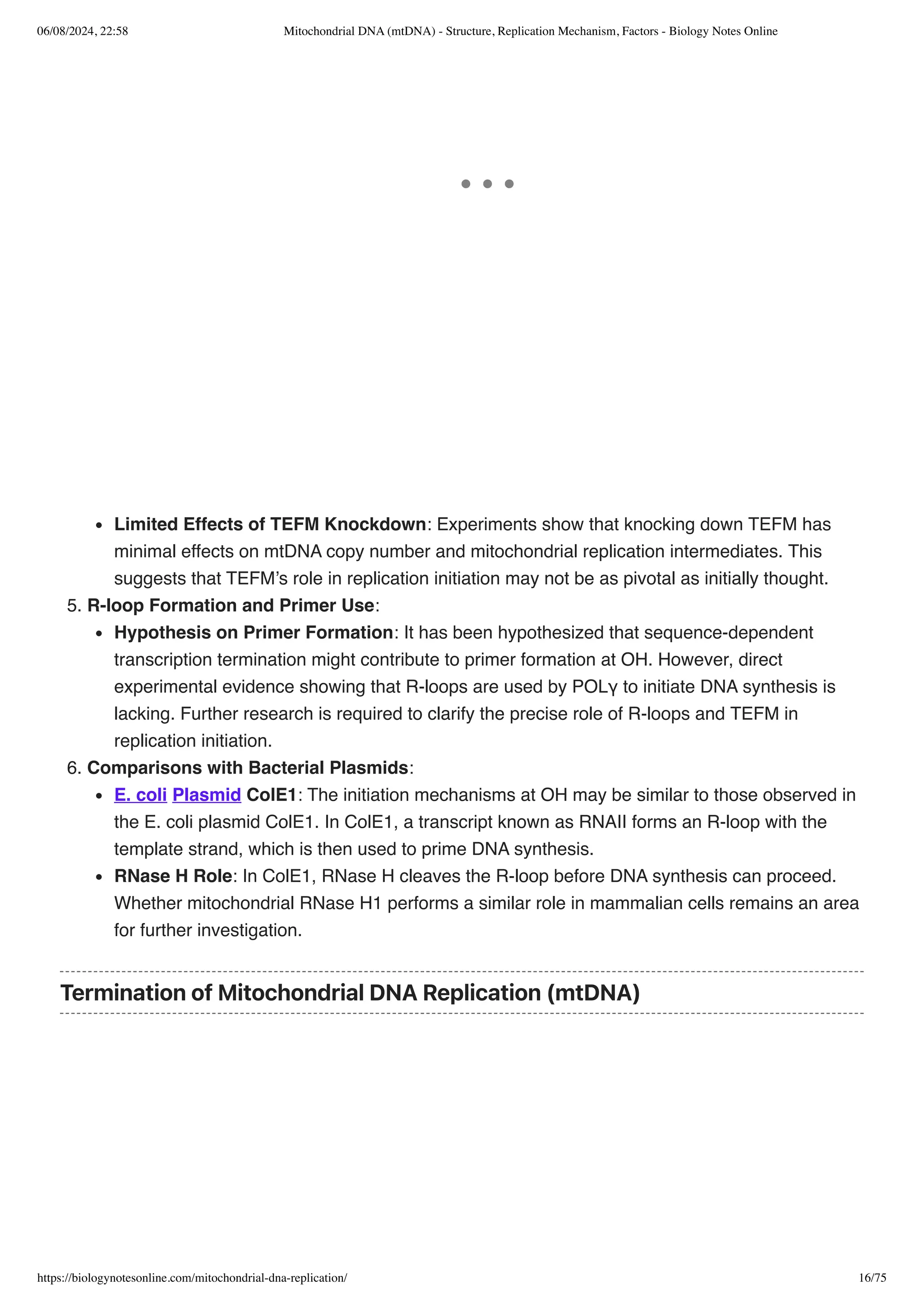 Mitochondrial DNA (mtDNA) - Structure, Replication Mechanism, Factors ...