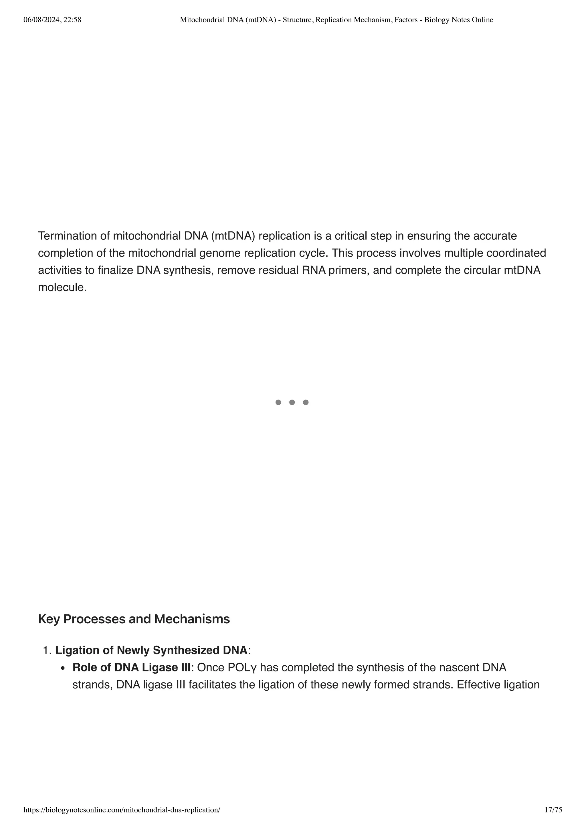 Mitochondrial DNA (mtDNA) - Structure, Replication Mechanism, Factors ...