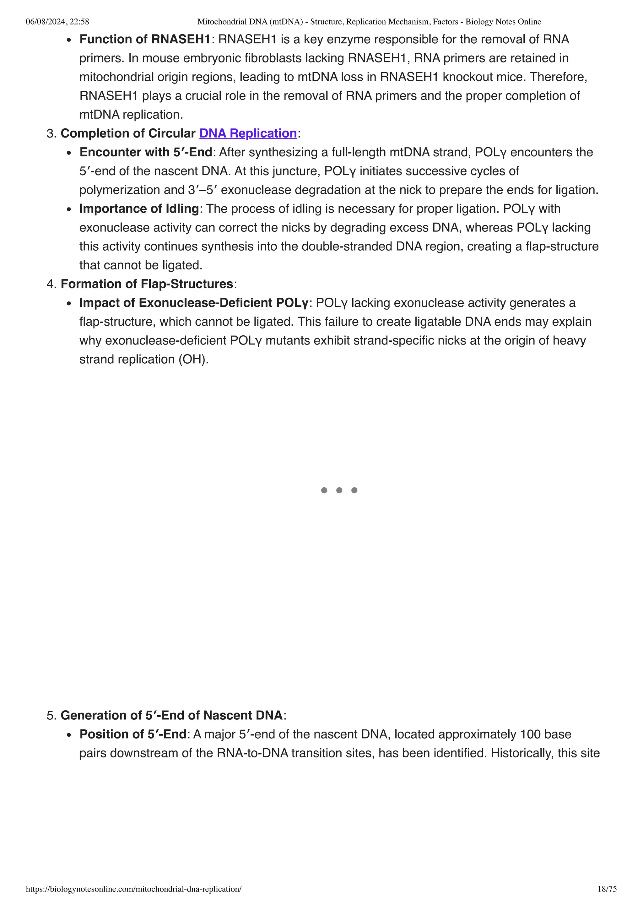 Mitochondrial DNA (mtDNA) - Structure, Replication Mechanism, Factors ...