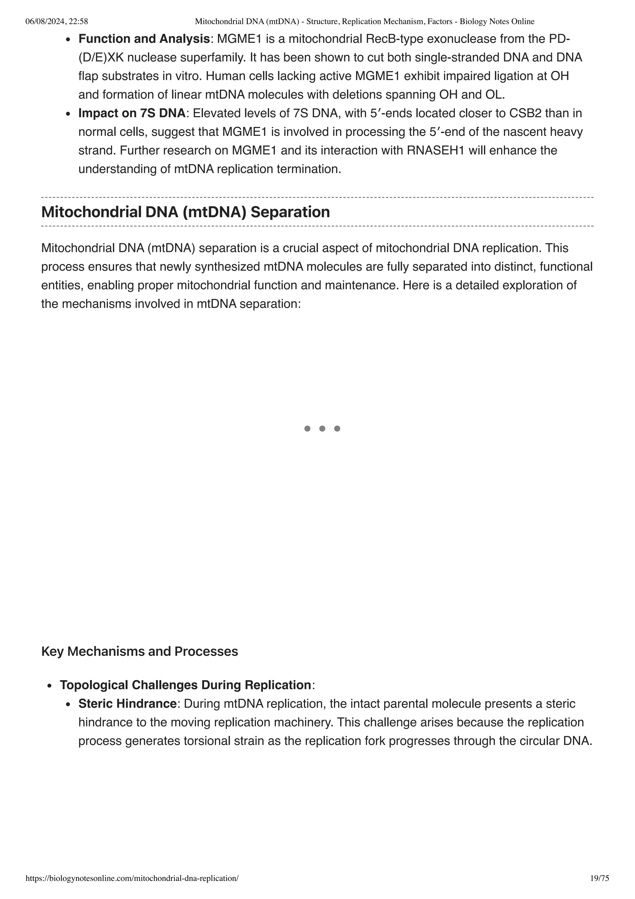 Mitochondrial DNA (mtDNA) - Structure, Replication Mechanism, Factors ...
