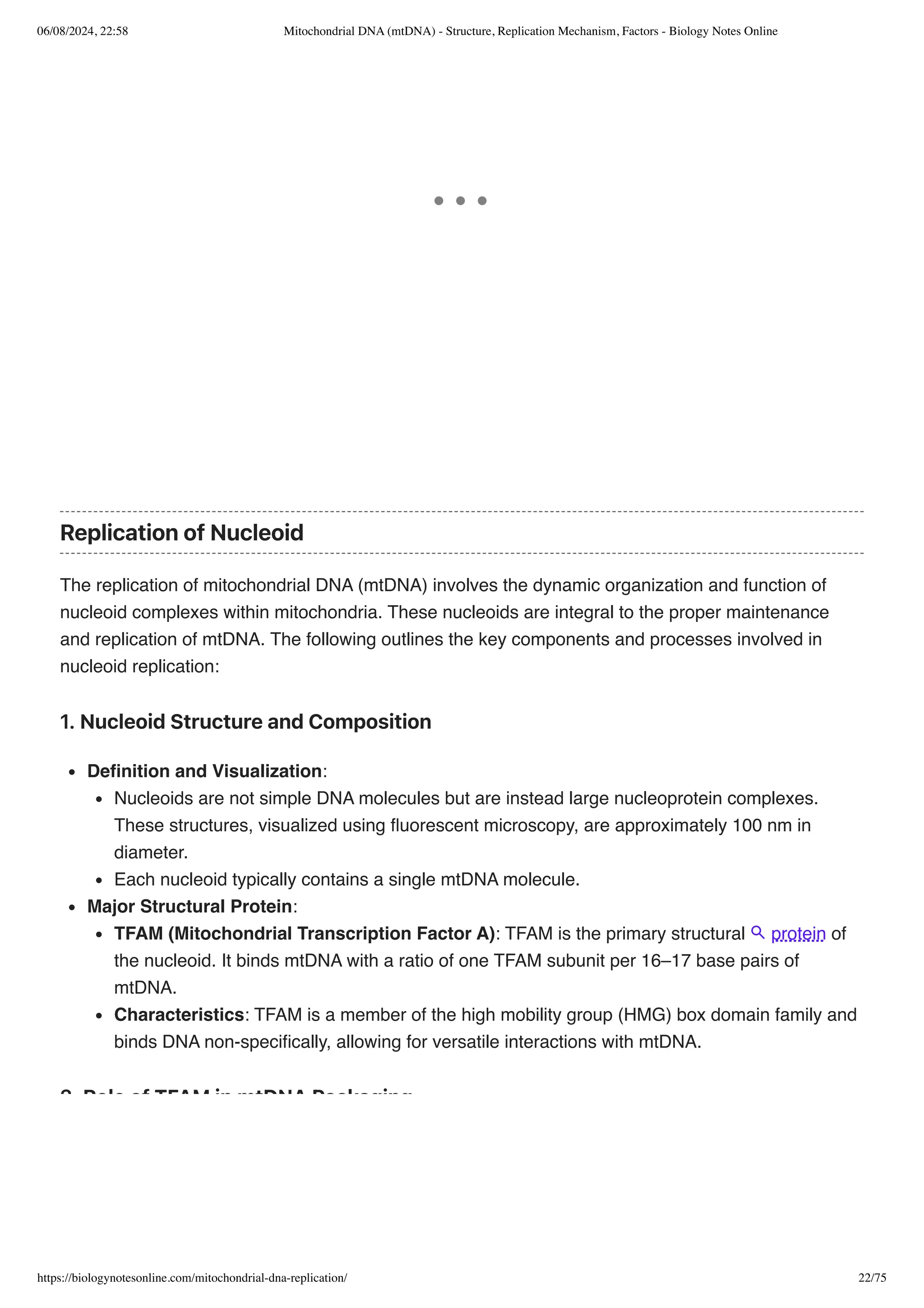 Mitochondrial DNA (mtDNA) - Structure, Replication Mechanism, Factors ...