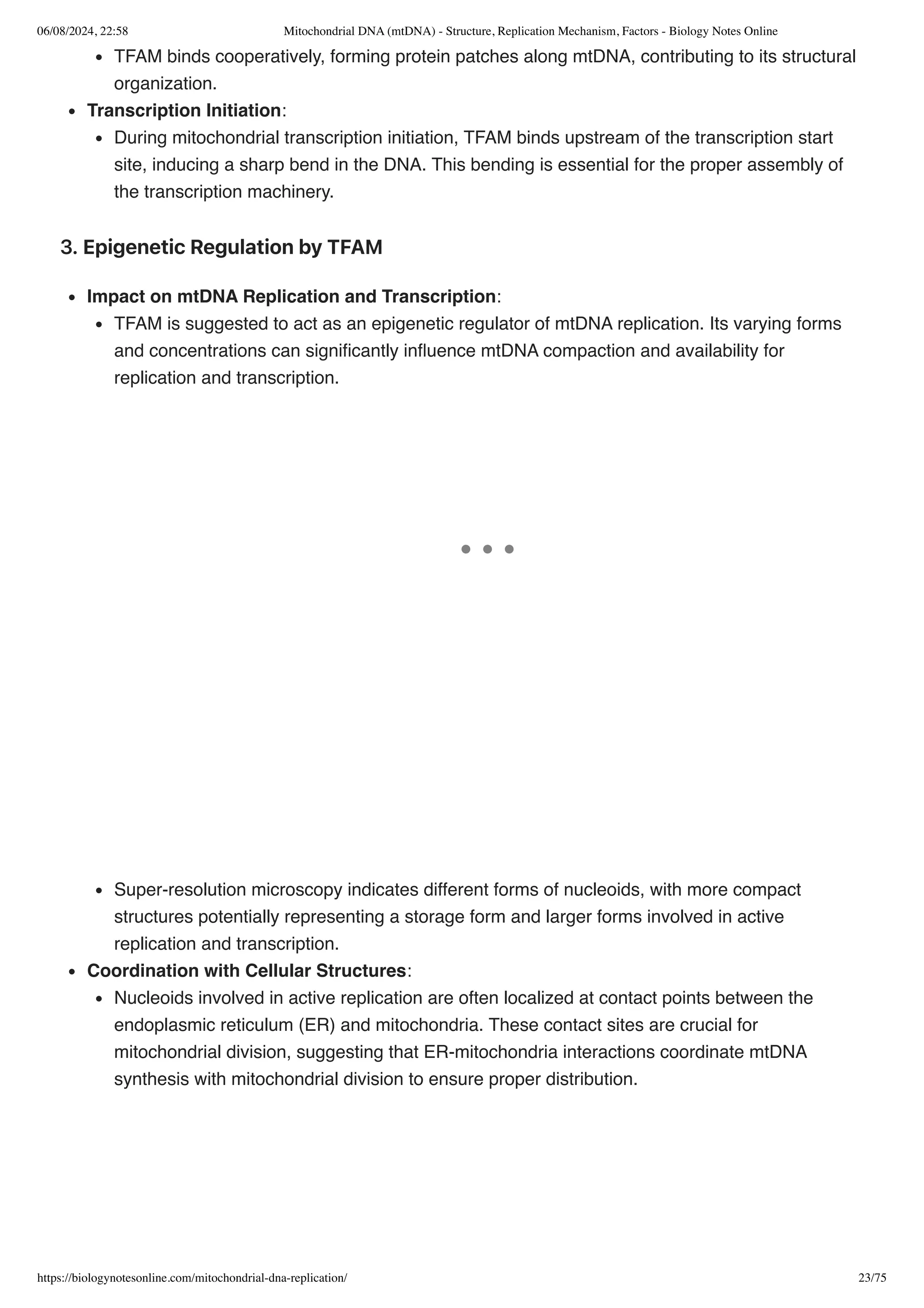 Mitochondrial DNA (mtDNA) - Structure, Replication Mechanism, Factors ...