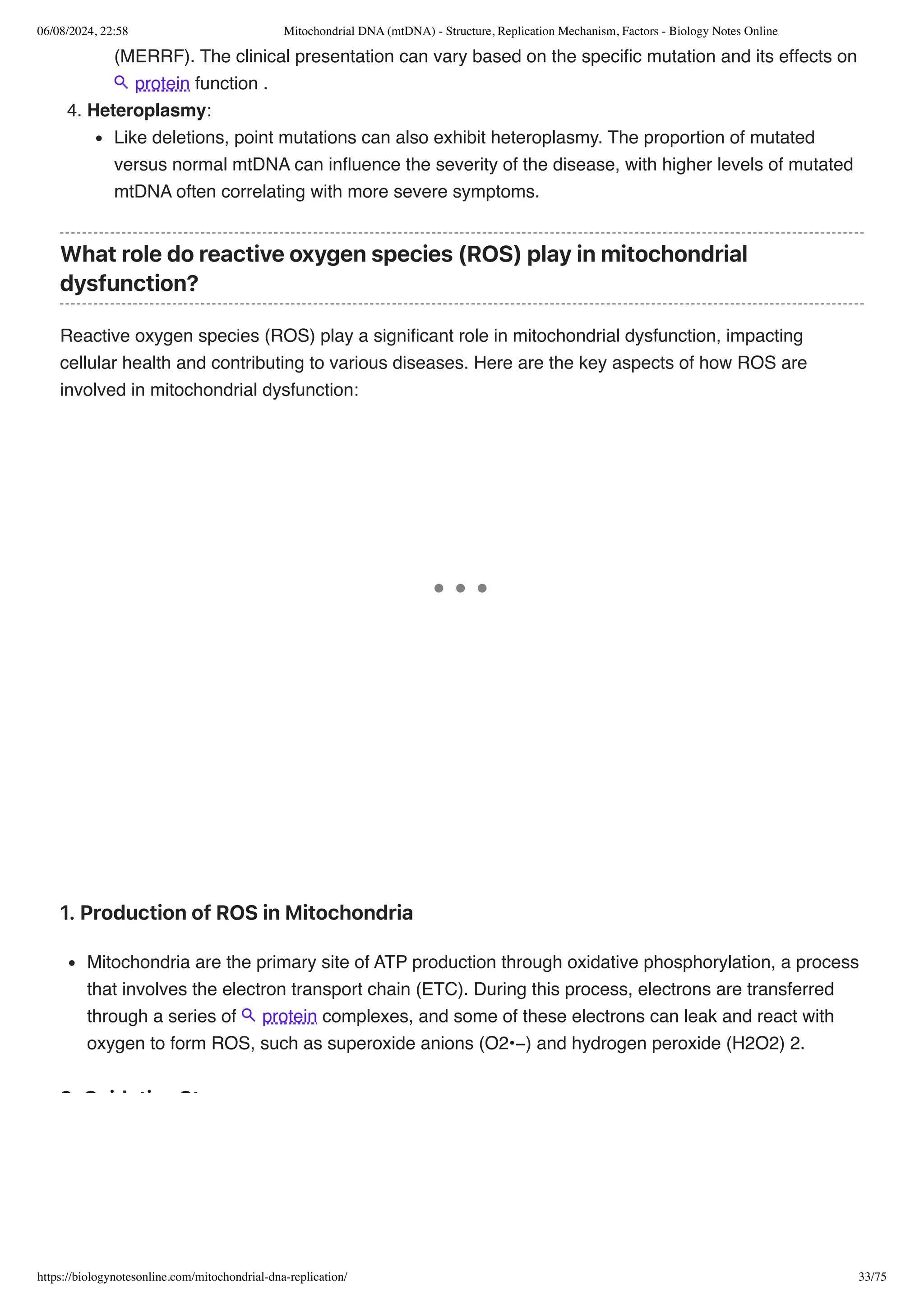 Mitochondrial DNA (mtDNA) - Structure, Replication Mechanism, Factors ...
