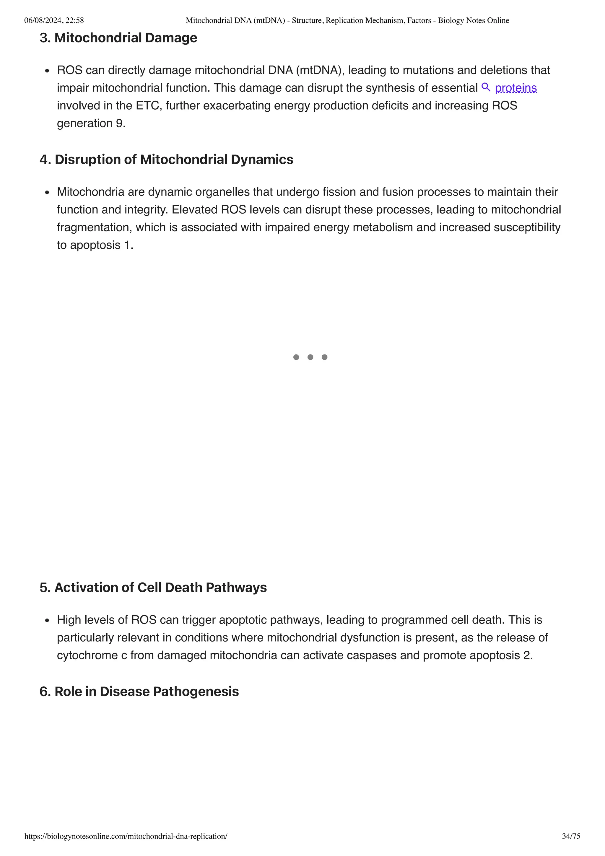 Mitochondrial DNA (mtDNA) - Structure, Replication Mechanism, Factors ...