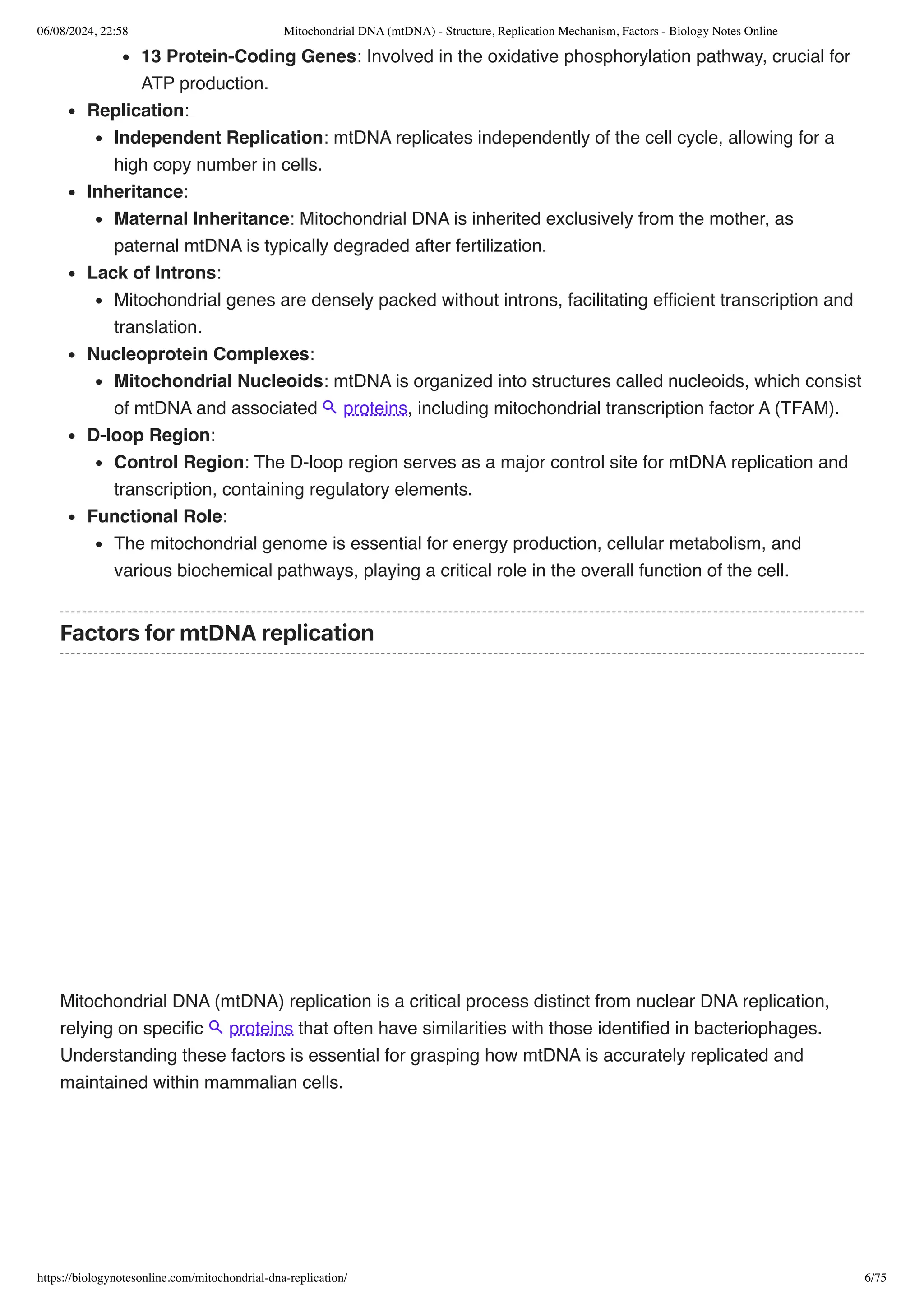 Mitochondrial DNA (mtDNA) - Structure, Replication Mechanism, Factors ...
