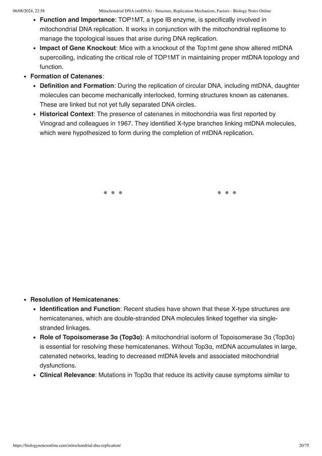 Mitochondrial DNA (mtDNA) - Structure, Replication Mechanism, Factors ...