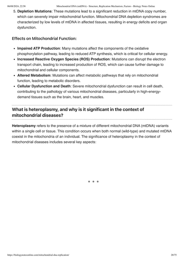 Mitochondrial DNA (mtDNA) - Structure, Replication Mechanism, Factors ...