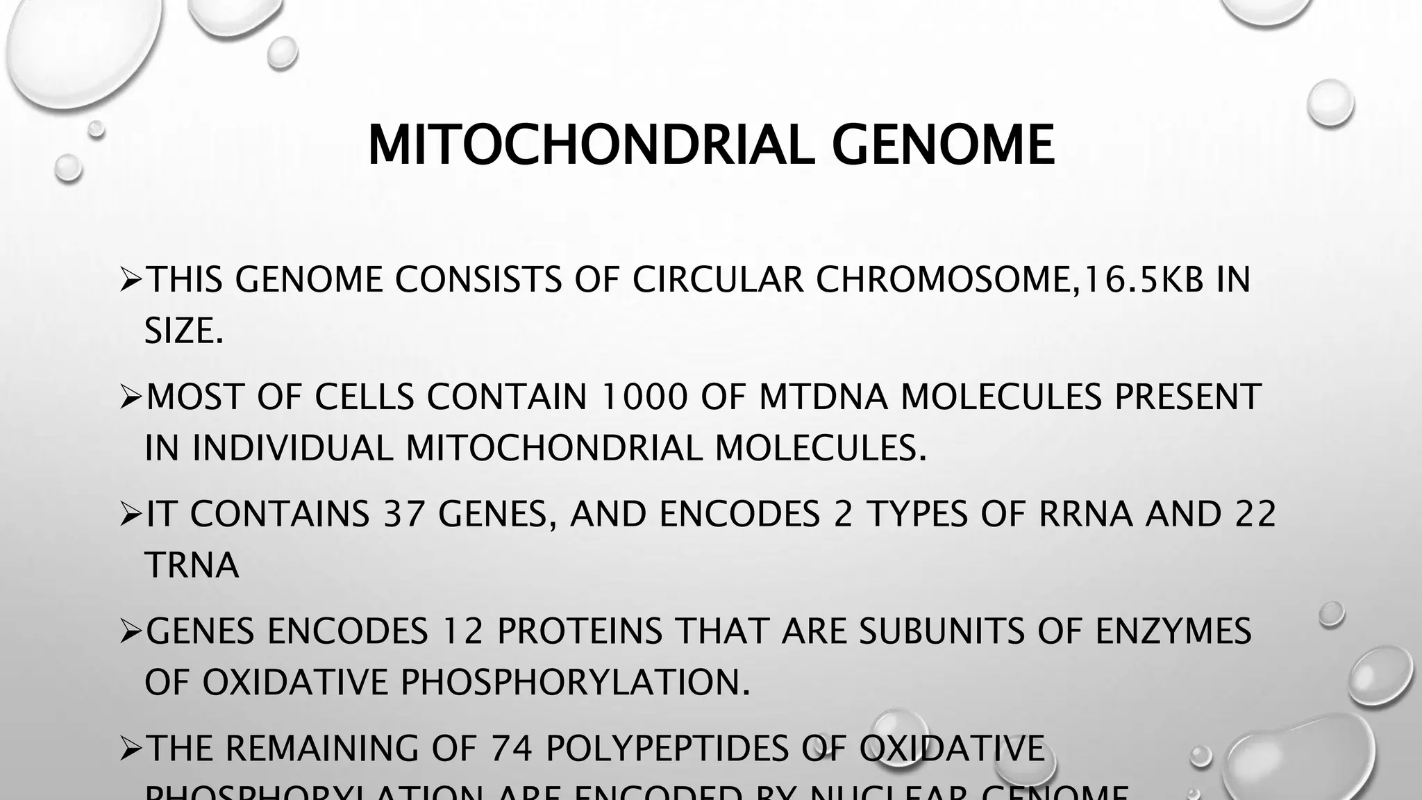 Mitochondrial d na powerpoint presentation (4) | PPTX