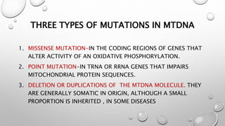 Mitochondrial d na powerpoint presentation (4) | PPTX