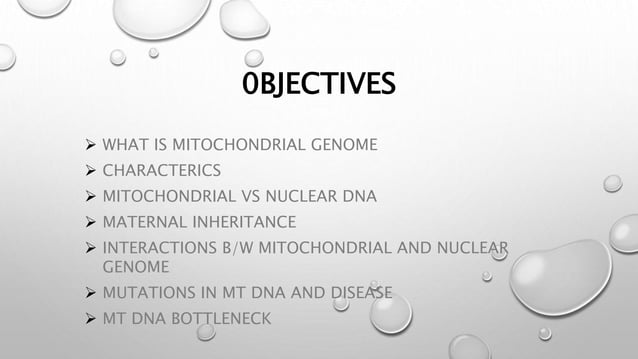Mitochondrial d na powerpoint presentation (4) | PPT | Free Download
