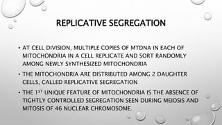 Mitochondrial d na powerpoint presentation (4) | PPTX
