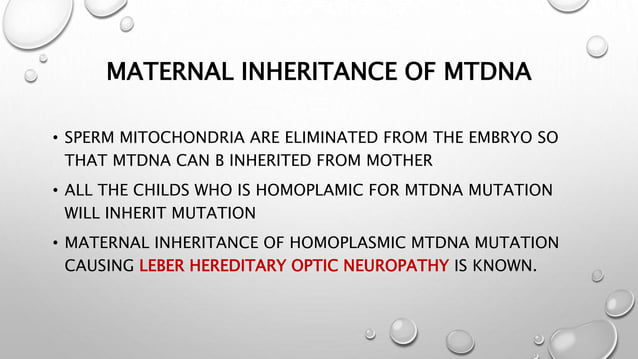 Mitochondrial d na powerpoint presentation (4) | PPT