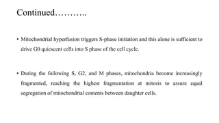 Mitochondrial dynamics and cancer (2) | PPT
