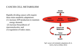 Mitochondrial dynamics and cancer (2) | PPTX
