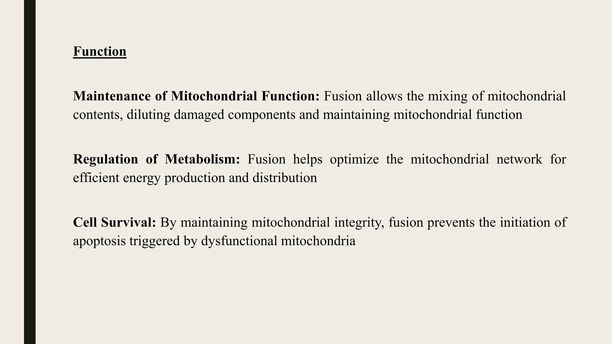 Mitochondrial Dynamics- topic presentation | PDF