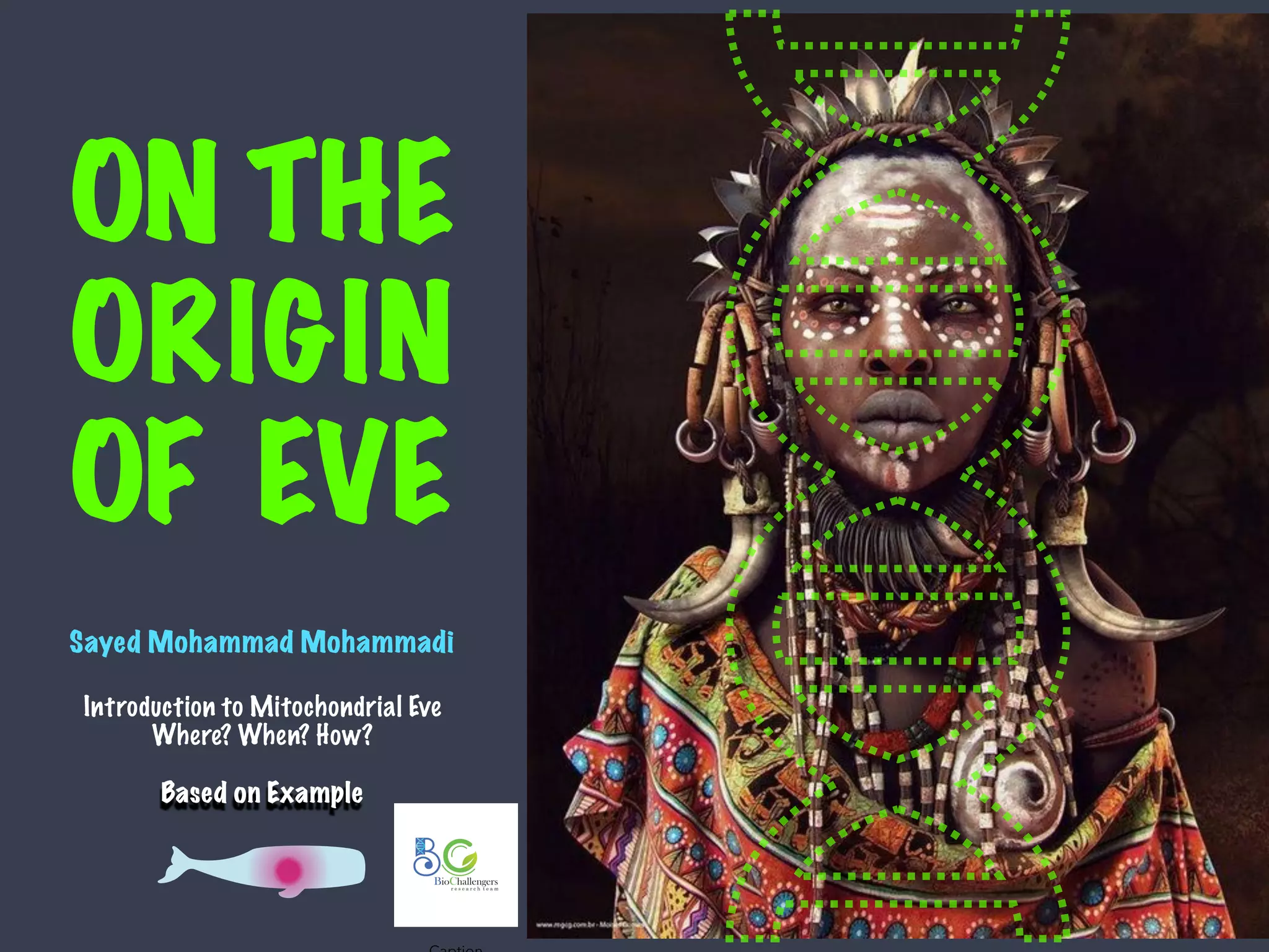 Mitochondrial EVE ( scientific presentation In university ) | PDF