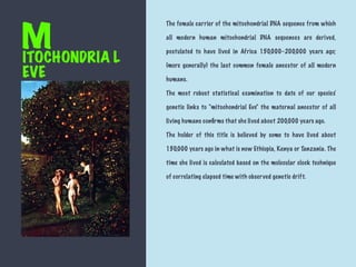 Mitochondrial EVE ( scientific presentation In university ) | PPT