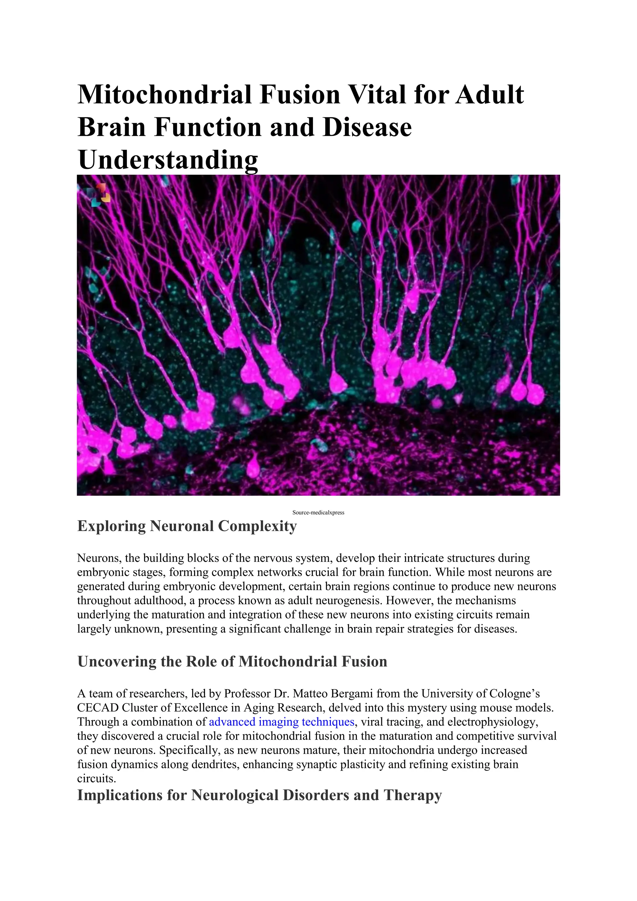 Mitochondrial Fusion Vital for Adult Brain Function and Disease Understanding | The Lifesciences ...