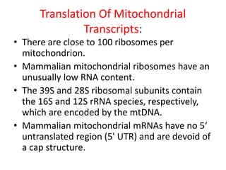 Mitochondrial gene expression | PPTX | Programming Languages | Computing