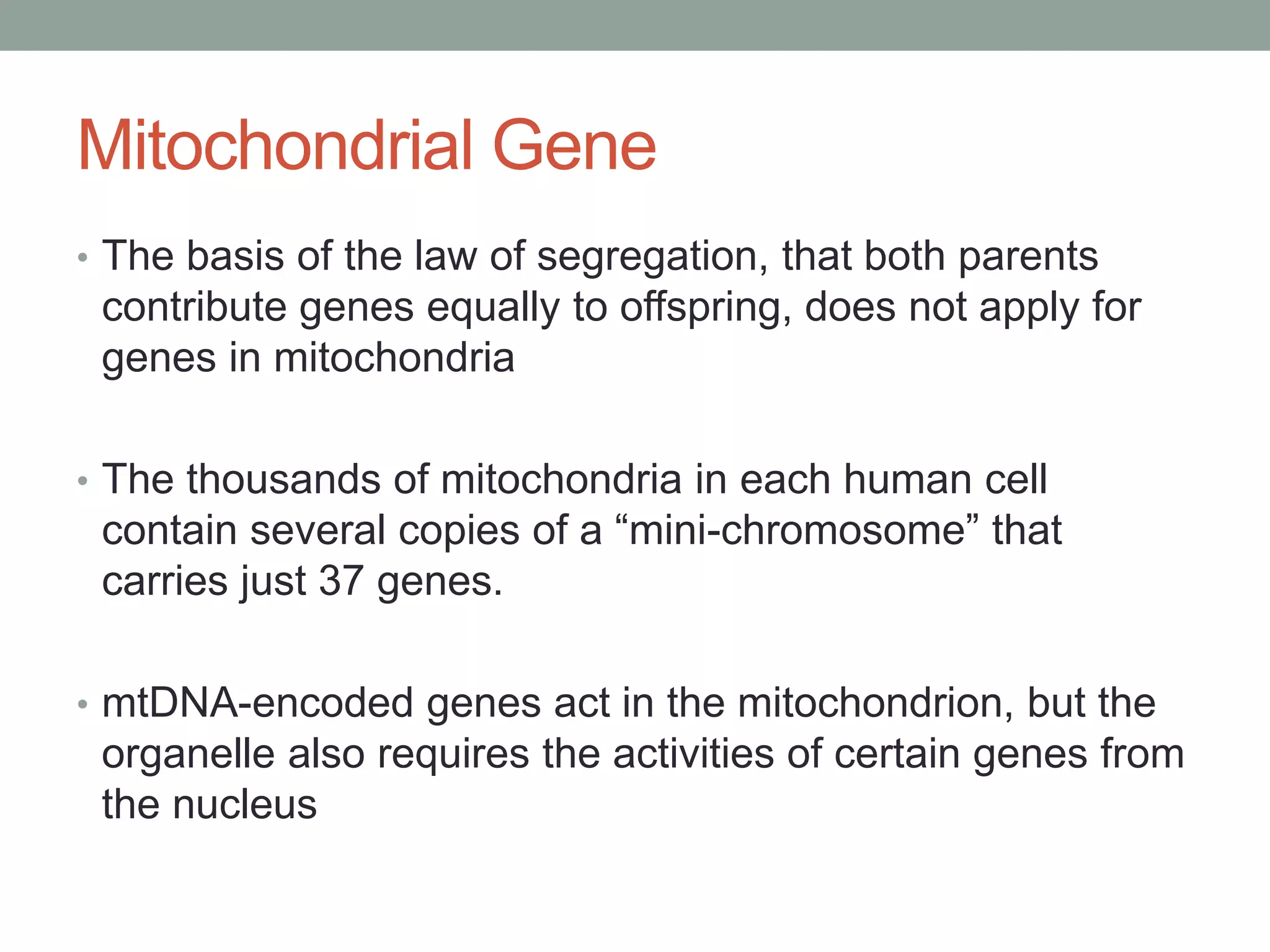 Mitochondrial genes | PPTX