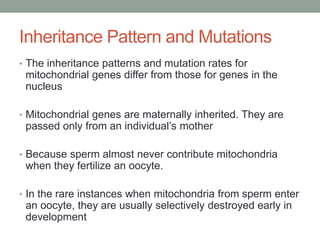 Mitochondrial genes | PPTX