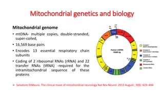 Mitochondrial genes and neurology | PPTX