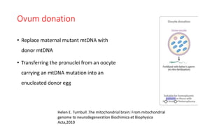 Mitochondrial genes and neurology | PPTX