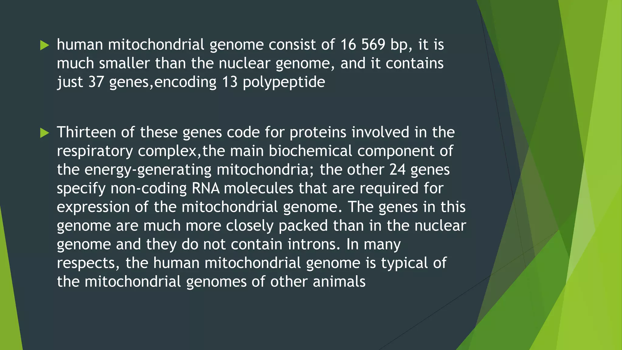 Mitochondrial genome | PPTX