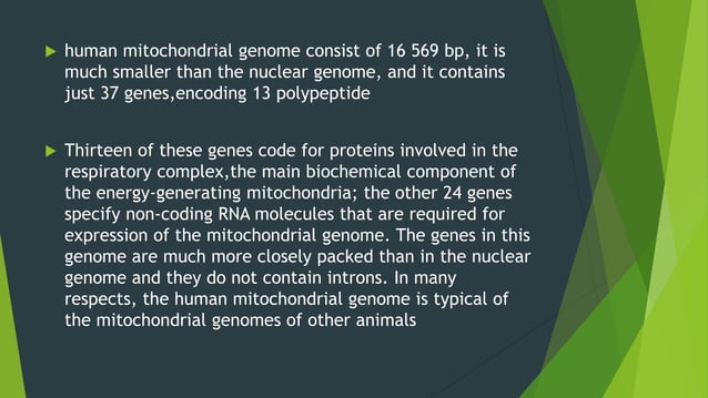 Mitochondrial genome | PPTX | Biological Sciences | Science