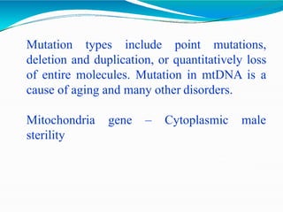 Mitochondrial genome | PPT